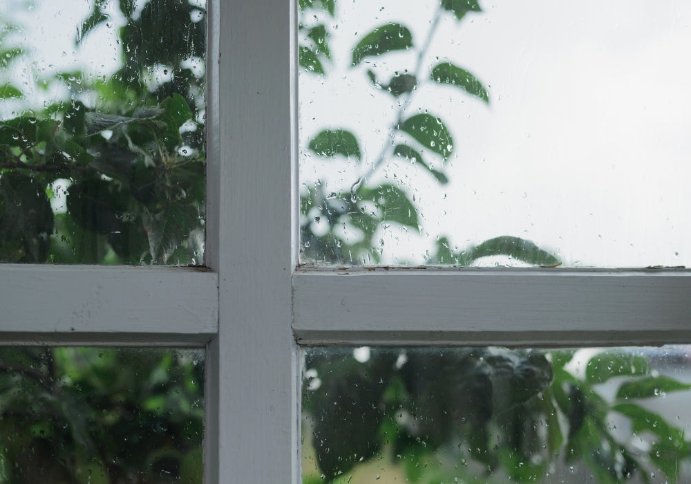 Winter conservation tips: How to stay eco-friendly when it’s cold outs ...
